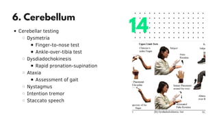 Neurological Examination | PPT