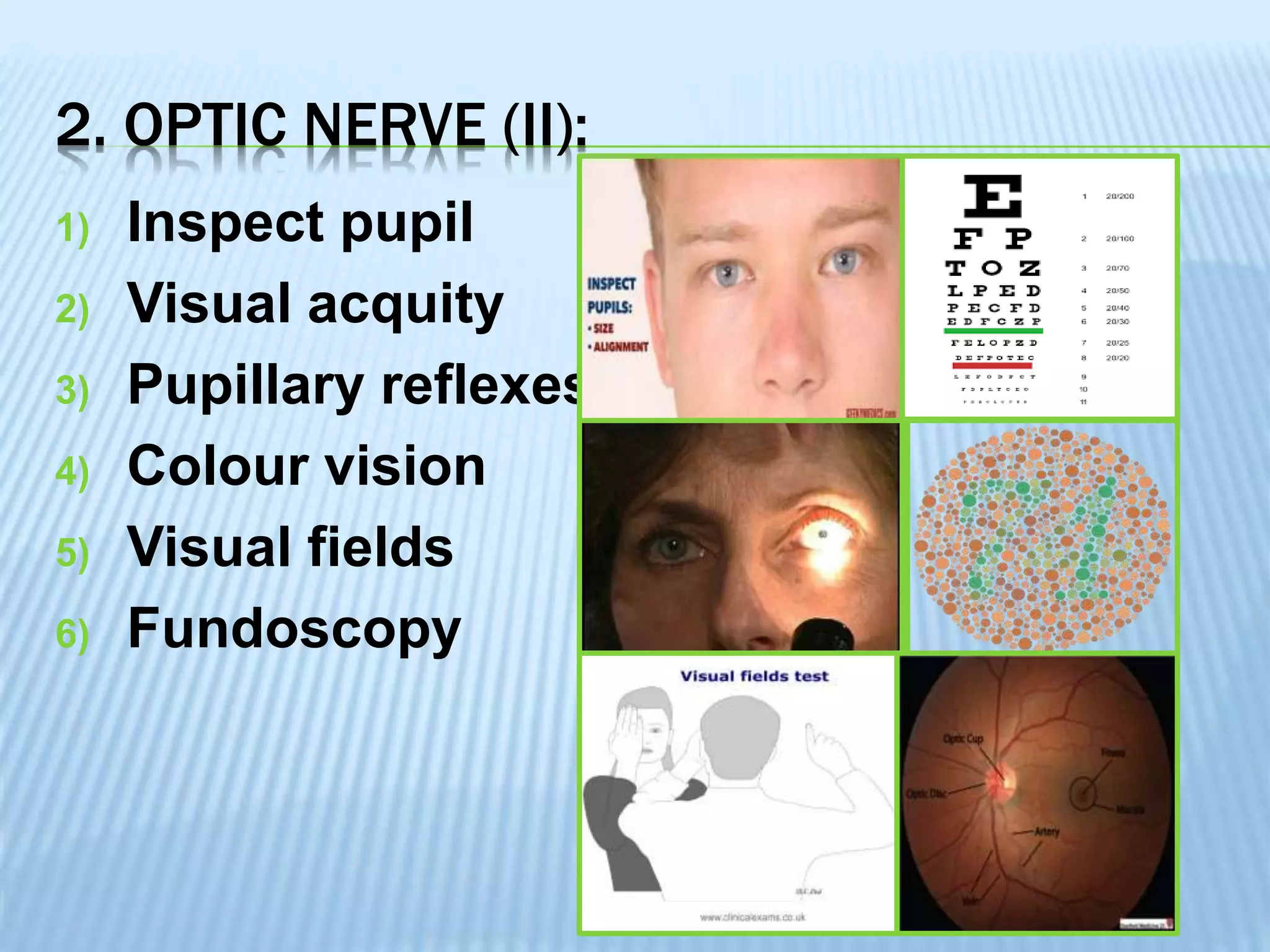 Neurological examination 1 | PPTX