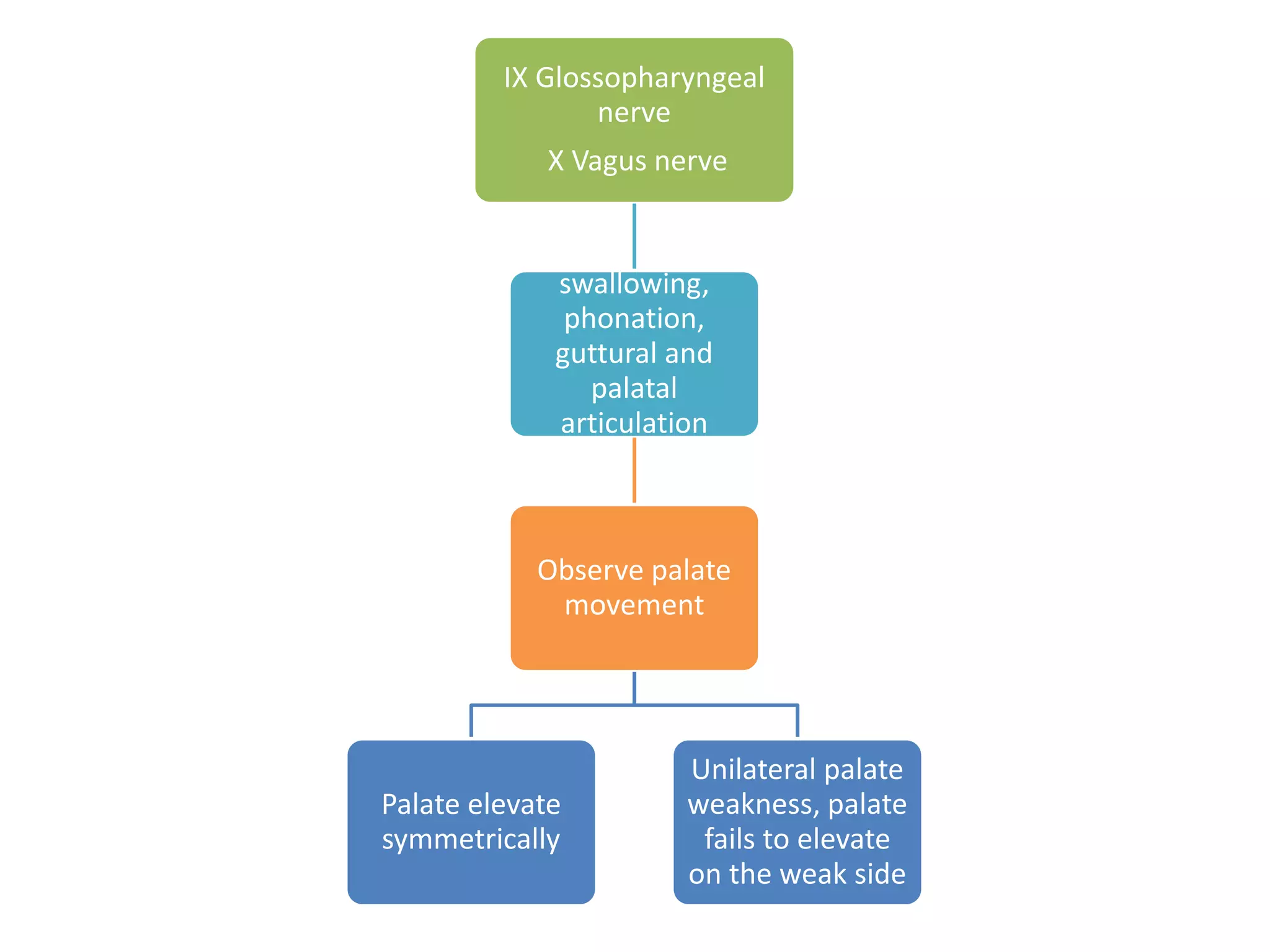 NEUROLOGICAL EXAMINATIONS | PPTX