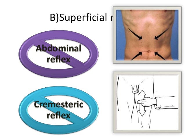 NEUROLOGICAL EXAMINATIONS