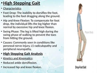 Neurological Gaits Management And Assessment With Kinetics And ...