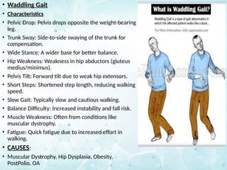 Neurological Gaits Management And Assessment With Kinetics And ...