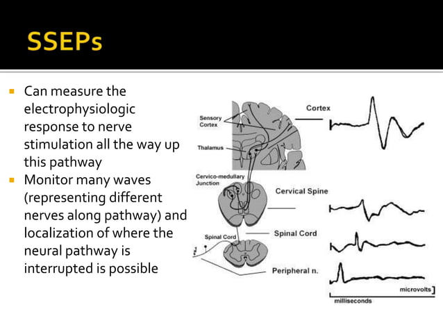 Neurological monitoring(1) | PPTX | Brain and Nervous System Disorders ...