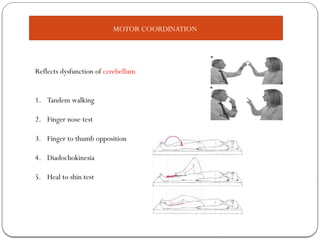 NEUROLOGICAL SOFT SIGNS IN PSYCHIATRY !! | PPTX