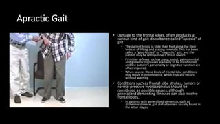 Neurological sources of gait dysfunction | PPTX
