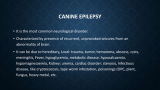 Neurological syndromes in canine | PPTX