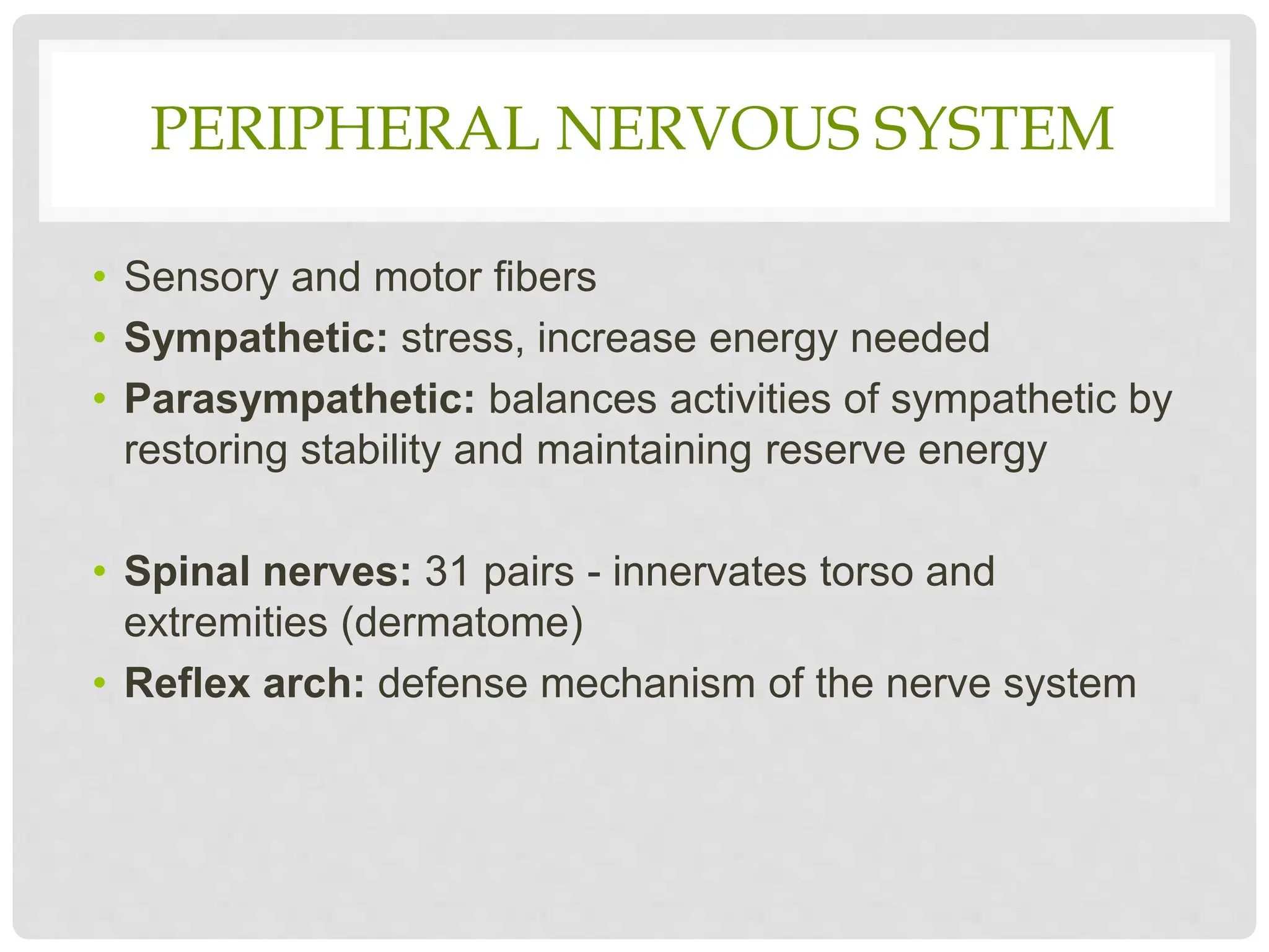 Neurological System , CNS, PNC, cranial nerves, facial nerves | PPTX