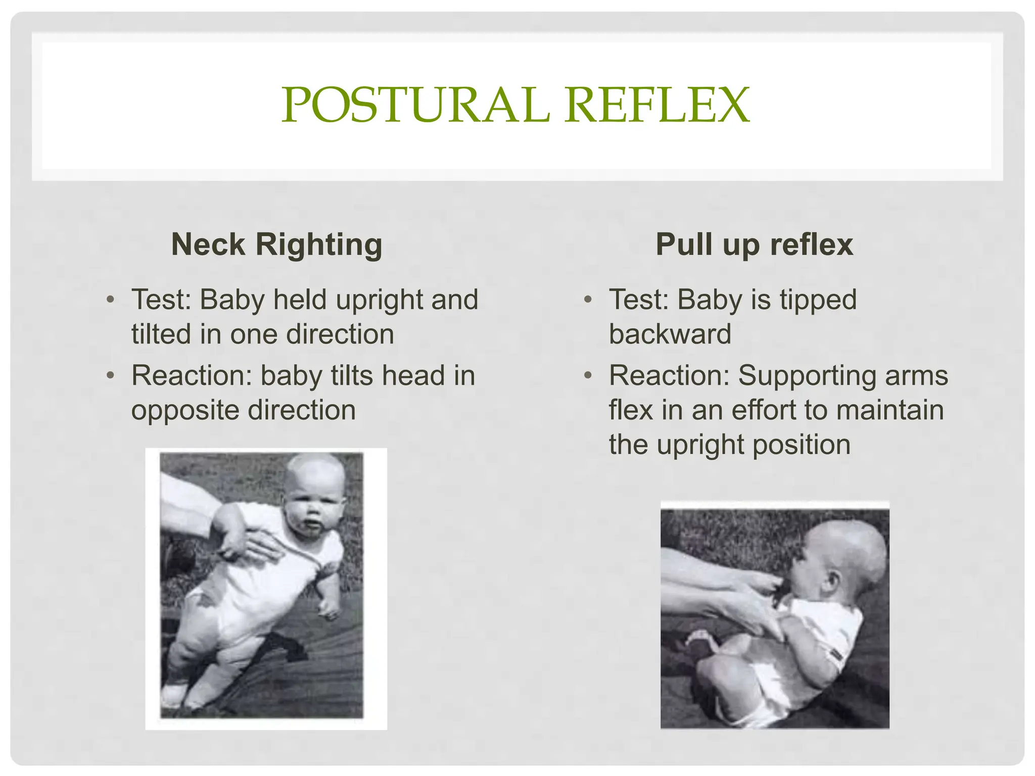 Neurological System , CNS, PNC, cranial nerves, facial nerves | PPTX