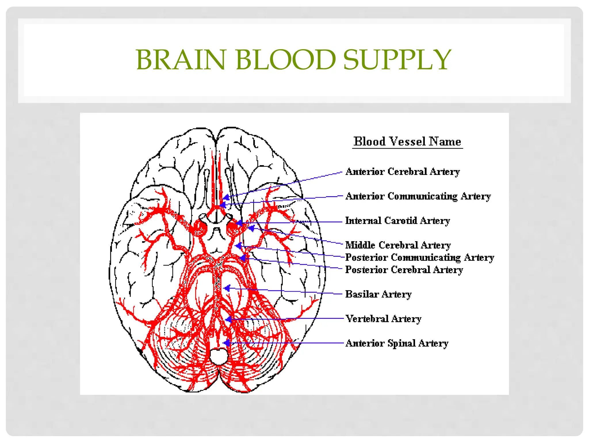 Neurological System , CNS, PNC, cranial nerves, facial nerves | PPTX