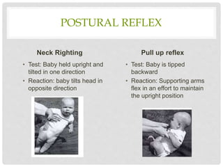 Neurological System , CNS, PNC, cranial nerves, facial nerves | PPTX