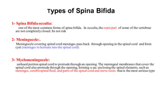 Neurological System Lecture 7.pdf