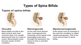 Neurological System Lecture 7.pdf