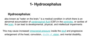 Neurological System Lecture 7.pdf