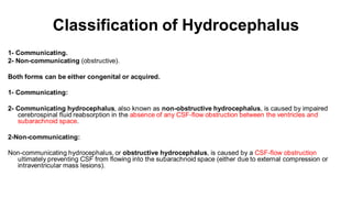 Neurological System Lecture 7.pdf