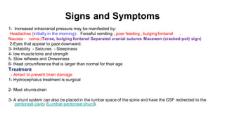 Neurological System Lecture 7.pdf