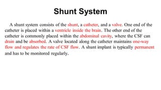 Neurological System Lecture 7.pdf