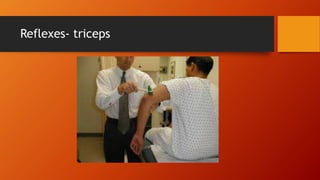 Neurologic examination of upper limbs | PPTX