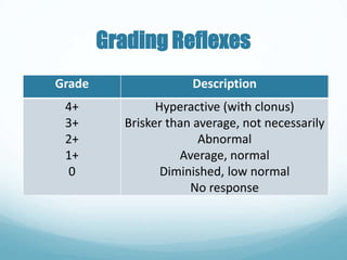 Neurologic Examination | PPT