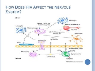 Neurologic manifestation of HIV/AIDS | PPTX