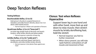 Neurologic System. comprehensive head to toes assessment | PPTX