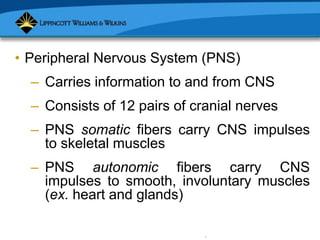 NEUROLOGICy.ppt