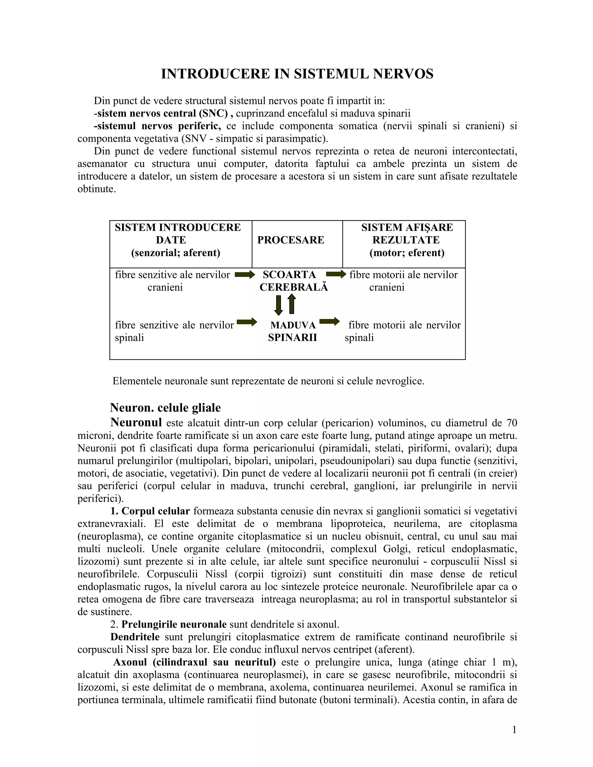 Neurologie | PDF