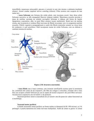 Neurologie | PDF