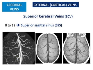 Neurology advanced cerebral veins f heran | PPT | Free Download