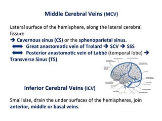Neurology advanced cerebral veins f heran | PPT | Free Download