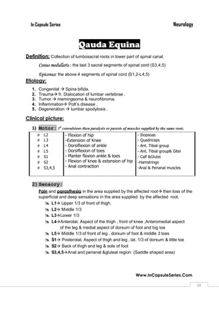 Neurology dr.ahmed mowafy | PDF
