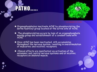 ORGANOPHOSPHOROUS POISONING NEUROVIEW | PPTX