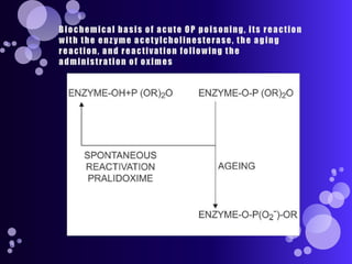 ORGANOPHOSPHOROUS POISONING NEUROVIEW | PPTX | Chemistry | Science