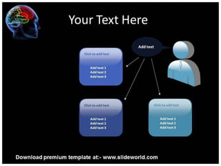 Neurology PowerPoint Template | PPTX
