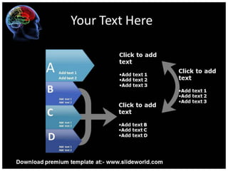 Neurology PowerPoint Template | PPT