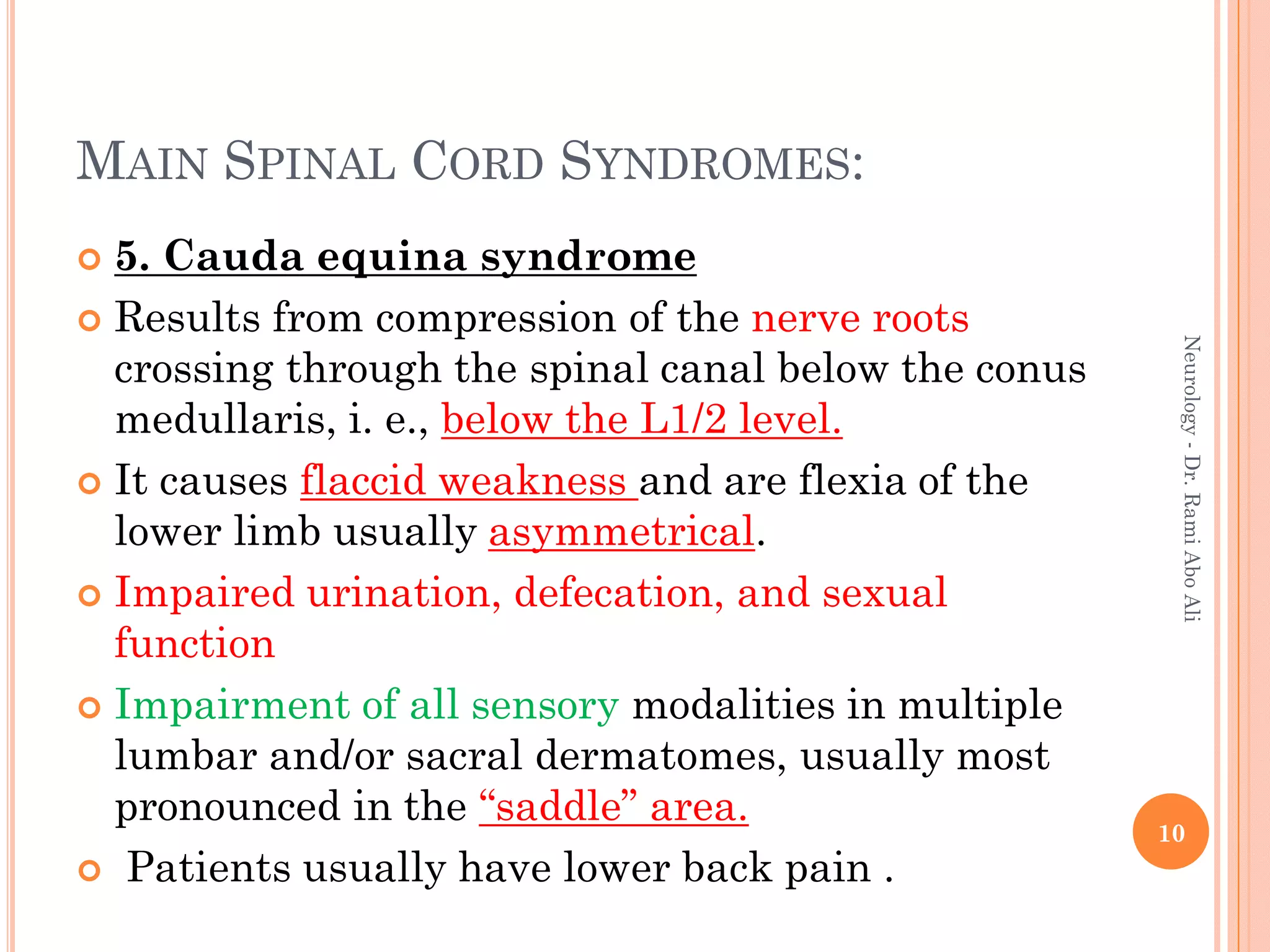 Neurology 12th disorders of the spine and spinal cord | PDF