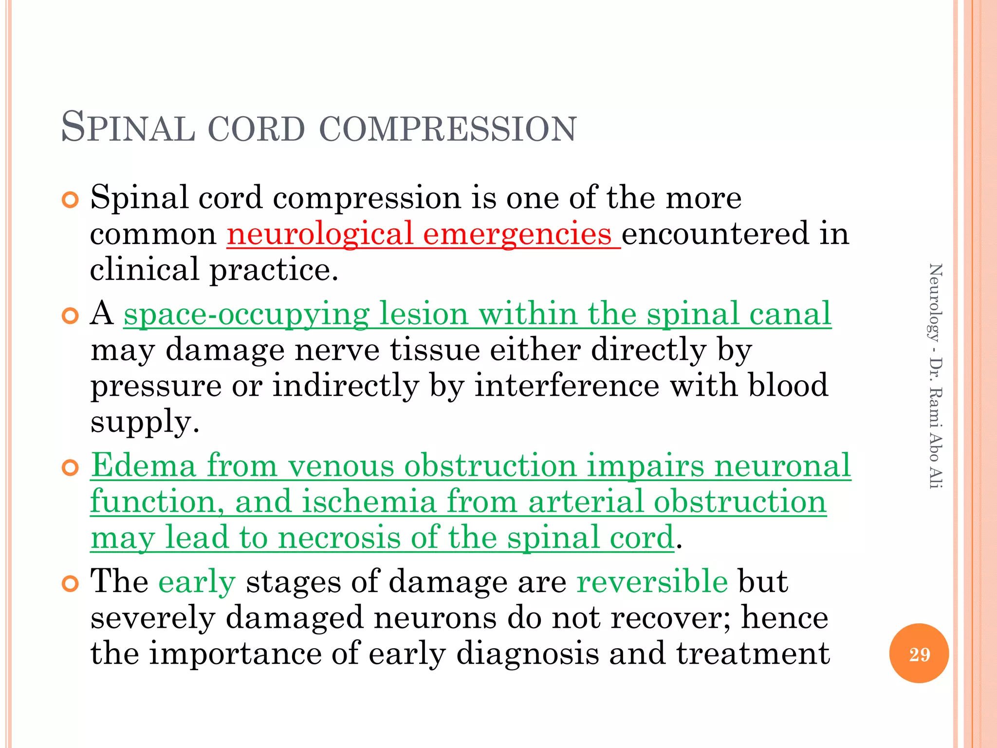 Neurology 12th disorders of the spine and spinal cord | PDF