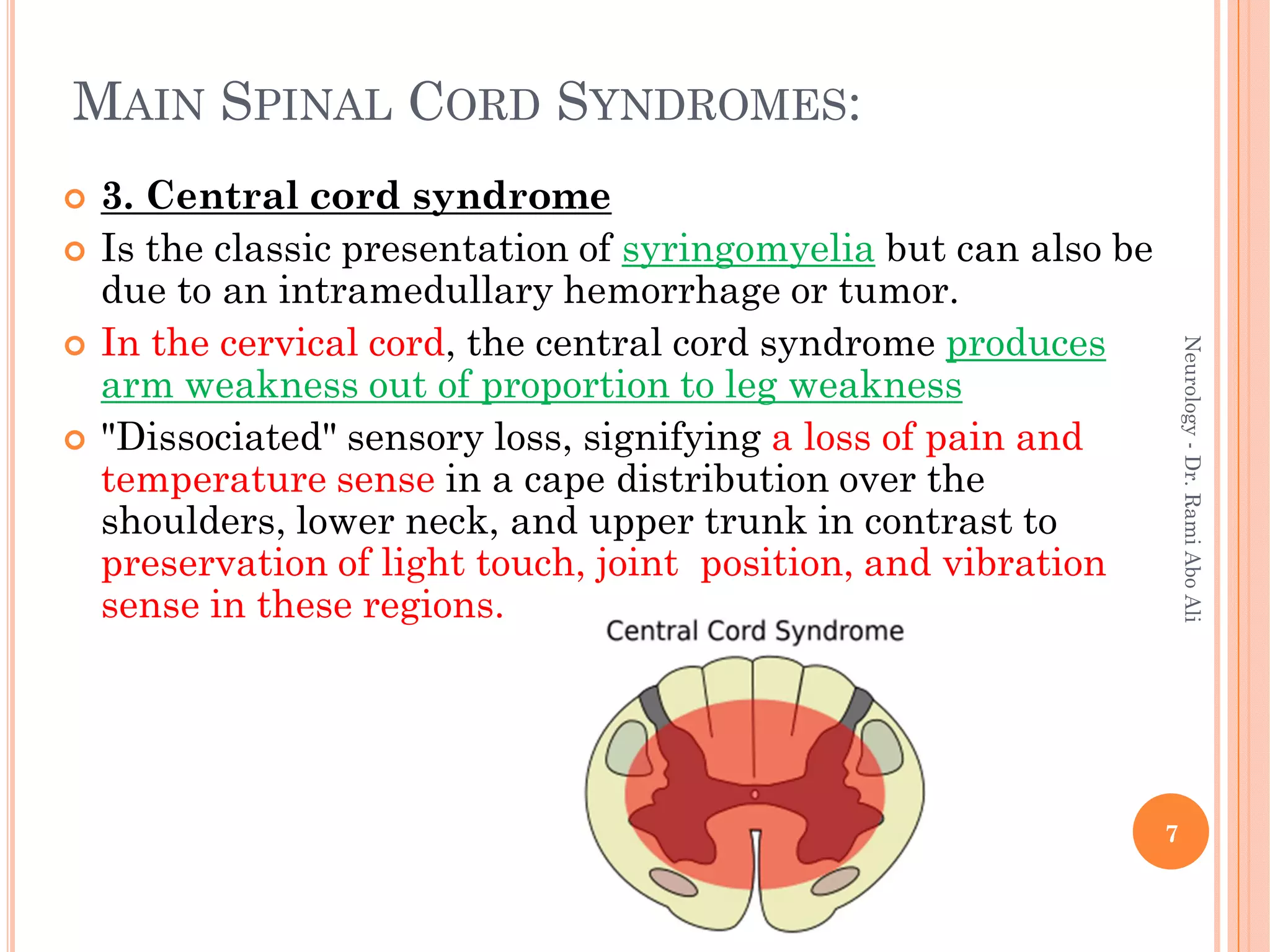 Neurology 12th disorders of the spine and spinal cord | PDF