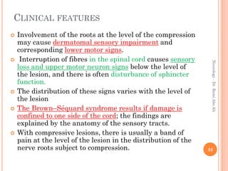 Neurology 12th disorders of the spine and spinal cord | PDF