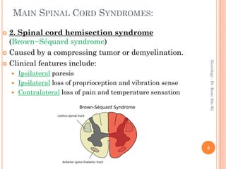 Neurology 12th disorders of the spine and spinal cord | PDF