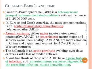 Neurology 13th peripheral neuropathy | PDF