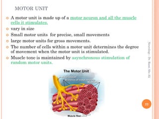 Neurology 14th diseases of the neuromuscular junction and myopathies | PDF
