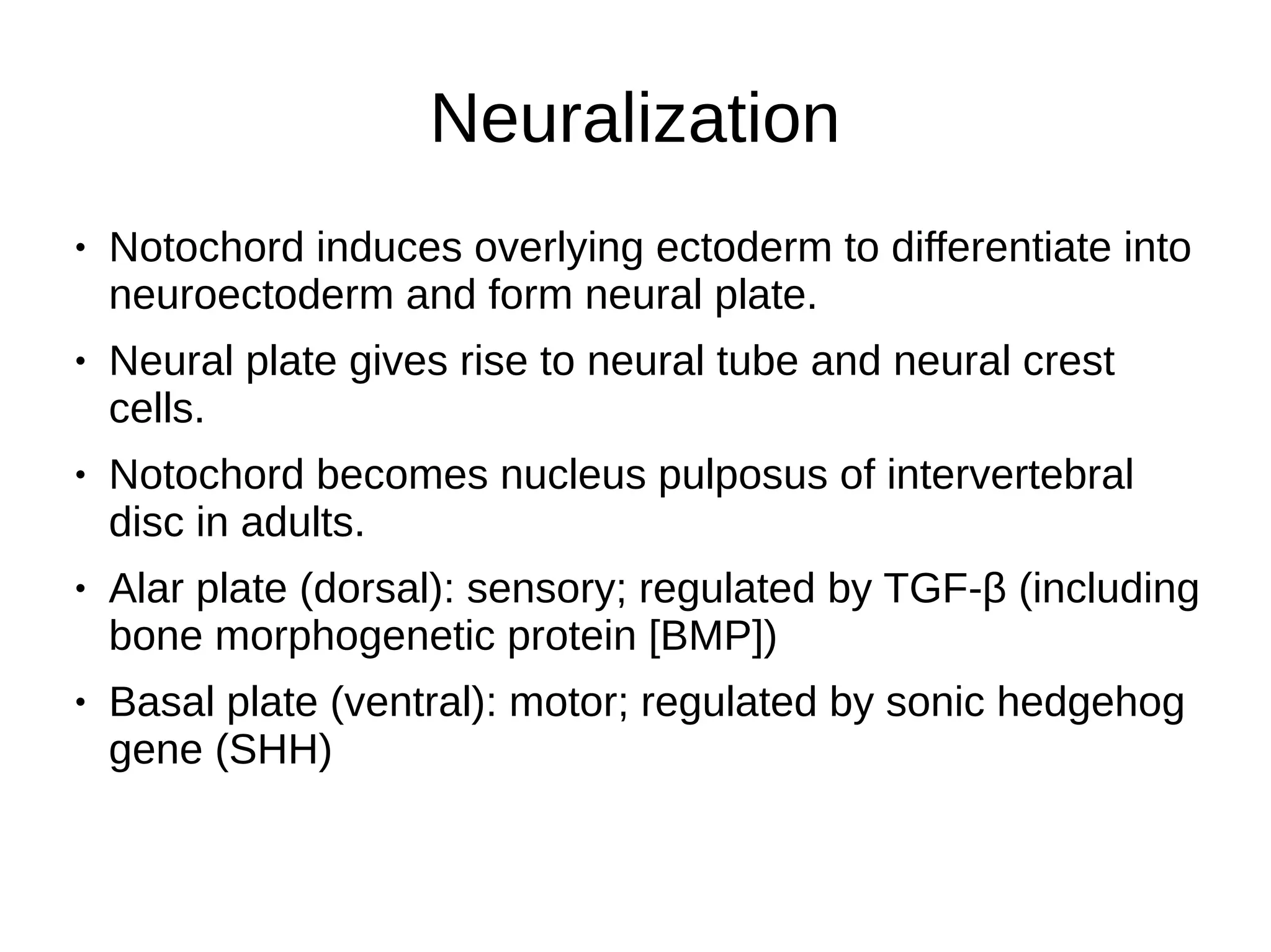 Neurology - Nervous system, Embryology, Anatomy and Neurohistology.pdf ...