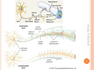 Neurology 8th multiple sclerosis | PDF