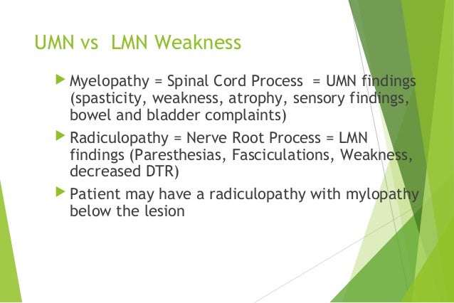 Neurology examination