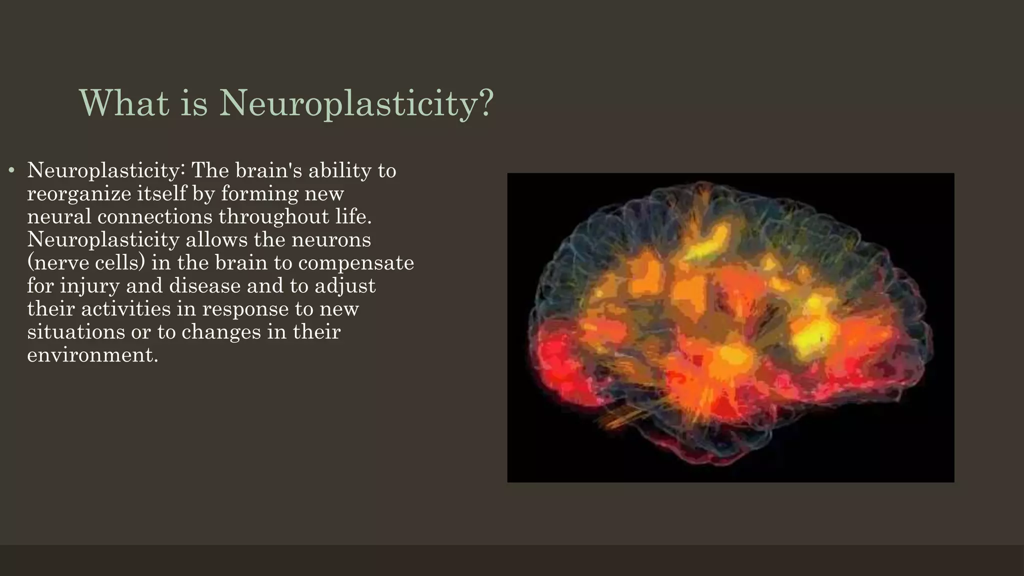 Neurology & neuroplasticity | PPTX