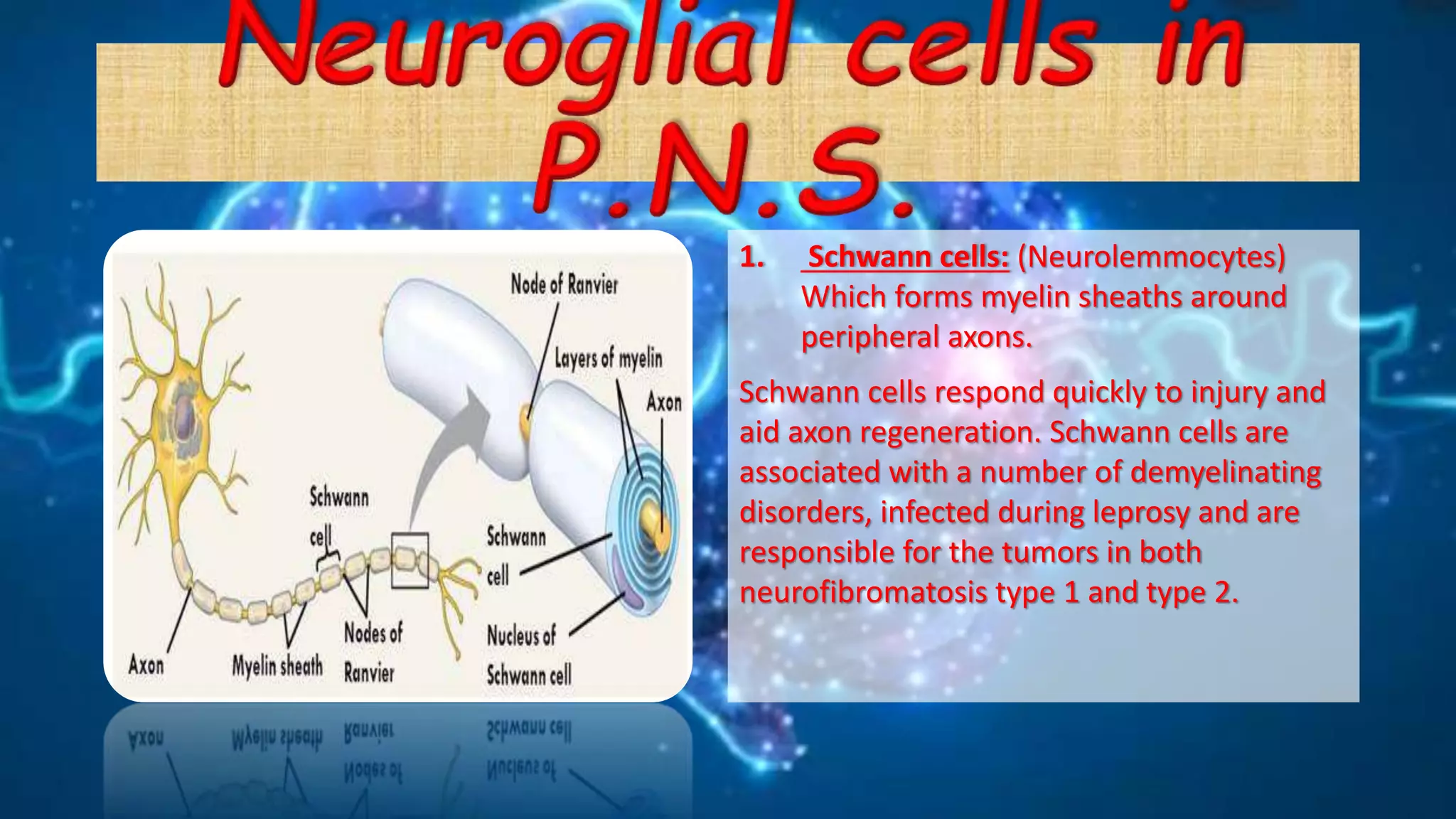 Neurology Ppt. lec-1.pptx