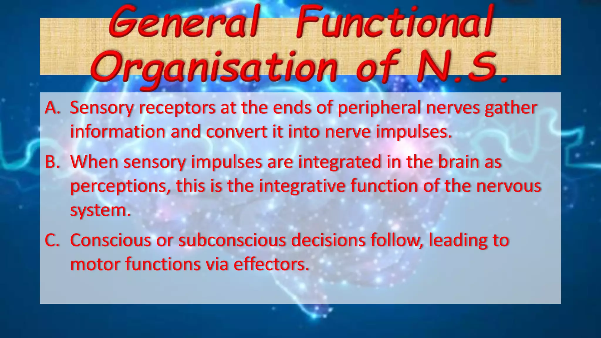 Neurology Ppt. lec-1.pptx