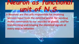 Neurology Ppt. lec-1.pptx
