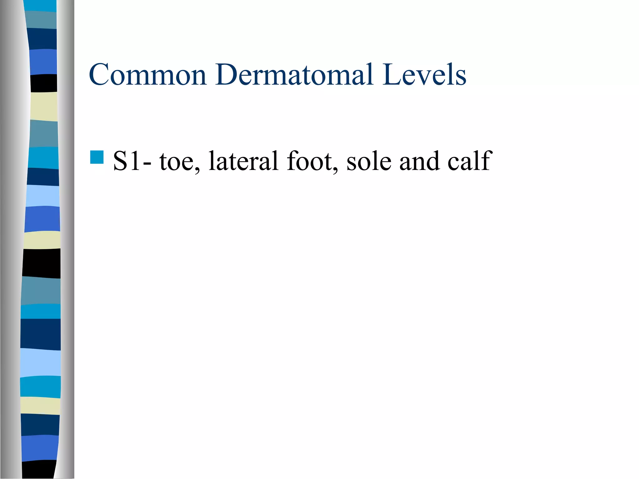 Neurology ppt presentation - nerves- location innervation myotmes ...