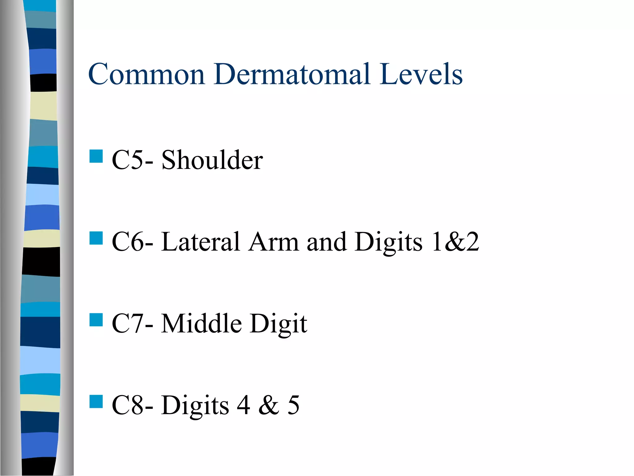 Neurology ppt presentation - nerves- location innervation myotmes ...